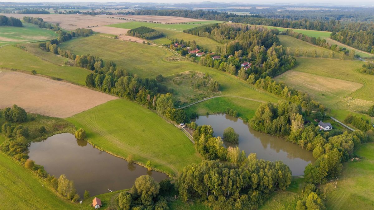 Rybníky jako středověké lednice: voda, která živila půst, moc i českou ...