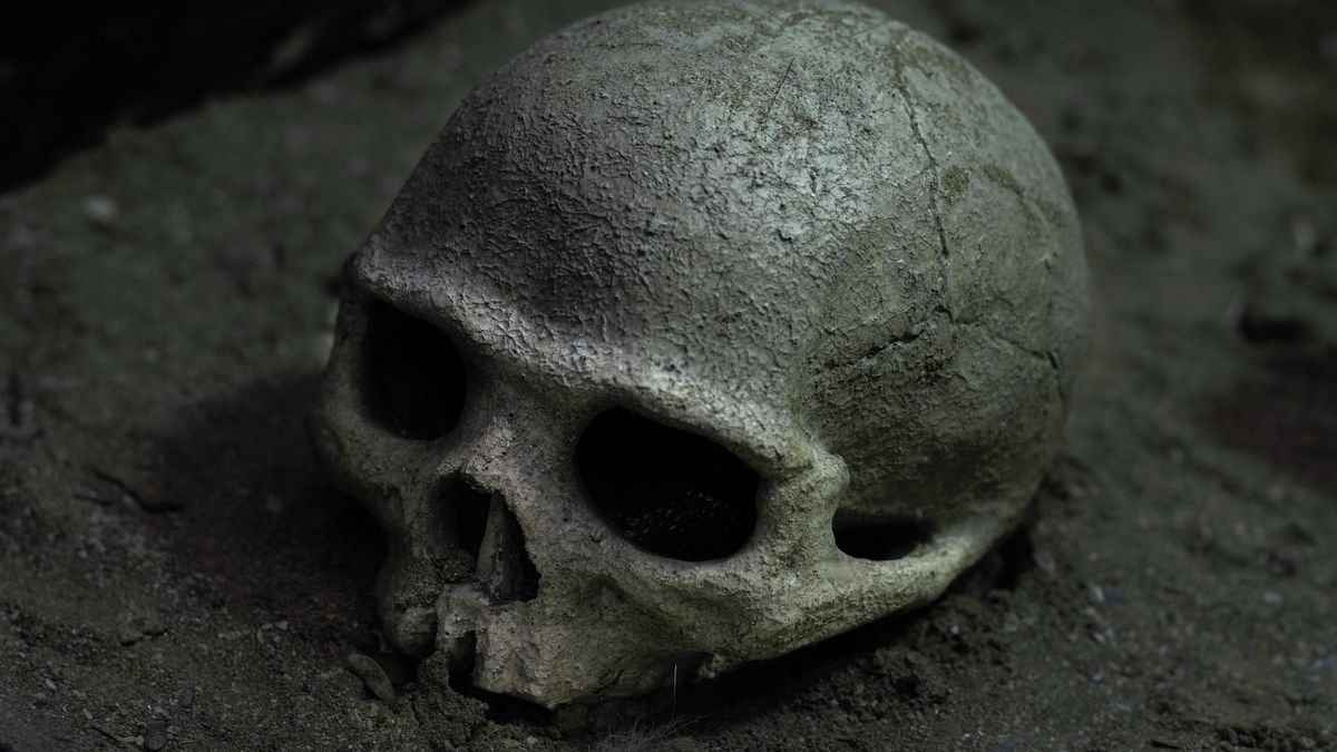 Vampýr z Čelákovic: Co skutečně ukázal nejzáhadnější nález českého ...