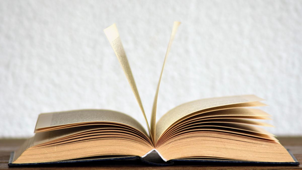Co je u nás knižní bestseller? - Médium.cz