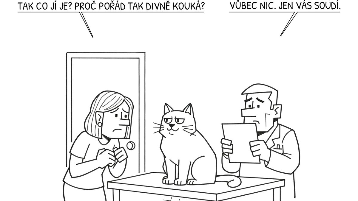 Vtipy s Nadhledem: Kočky nejsou nemocné. Kočky jen hodnotí lidstvo ...